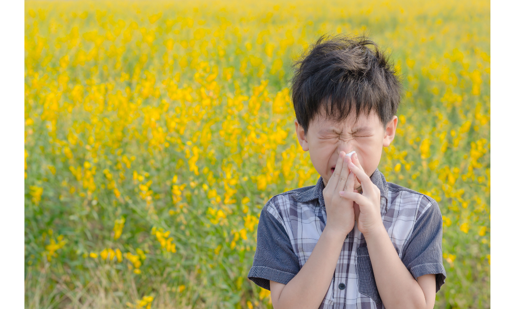 The Science Behind Spring Allergies | Bridgeway Academy