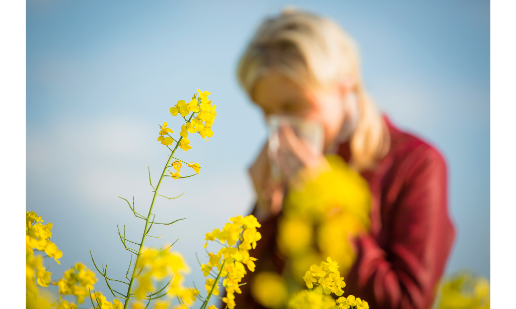 The Science Behind Spring Allergies | Bridgeway Academy